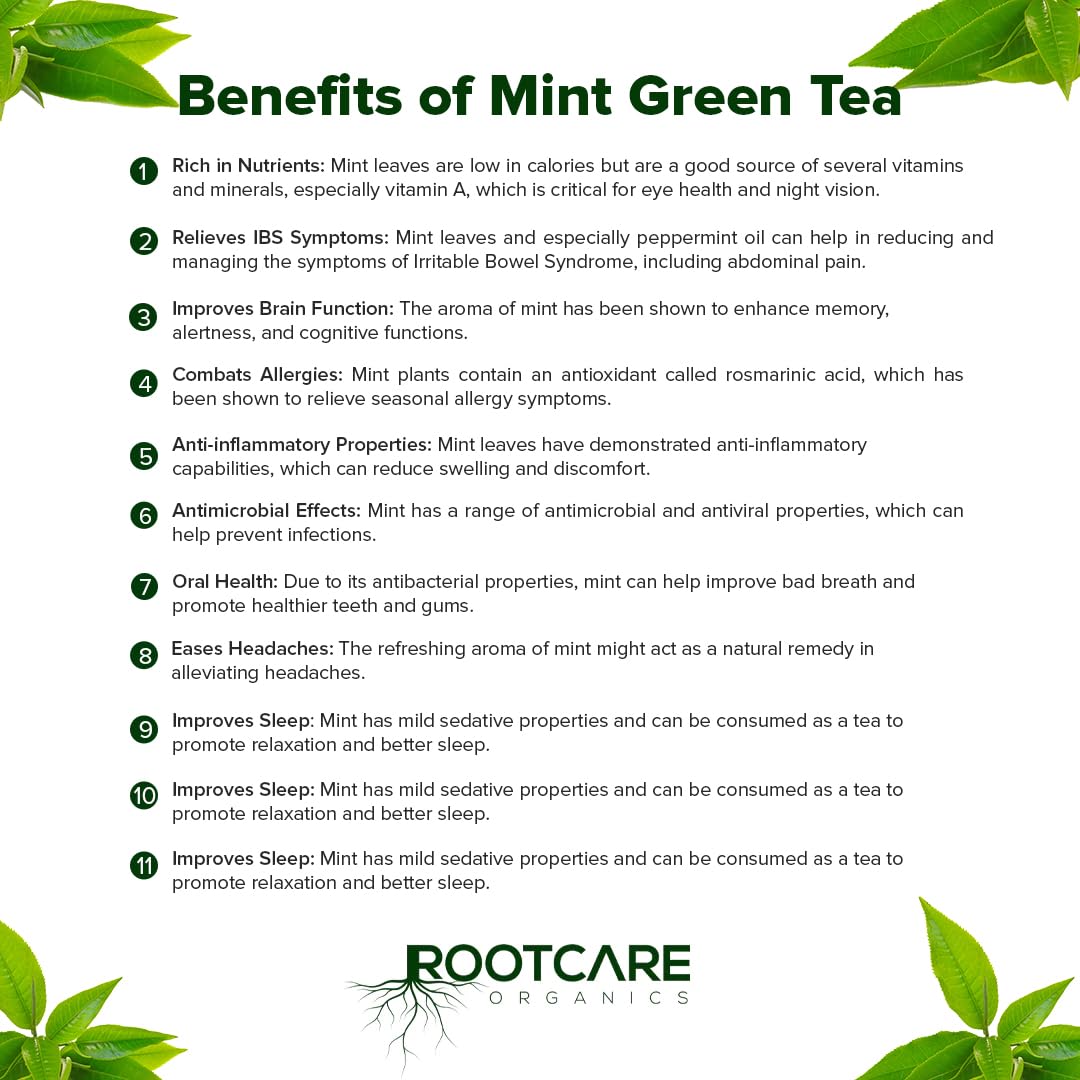 Rootcare Organics Premium Mint Green Tea - 100 gms - Veeha Foods