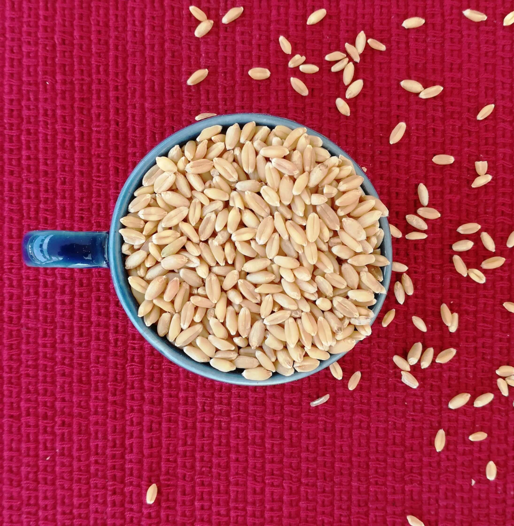 Bio Basics Organic Whole Wheat - Veeha Foods