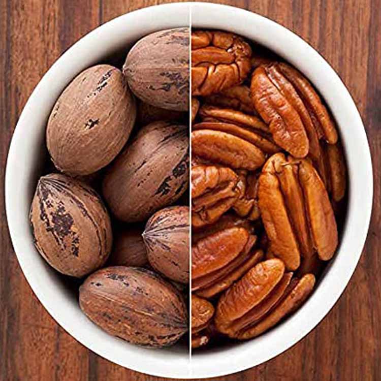 Healthy Master Premium Pecan Nuts ( Without Shell) - Veeha Foods